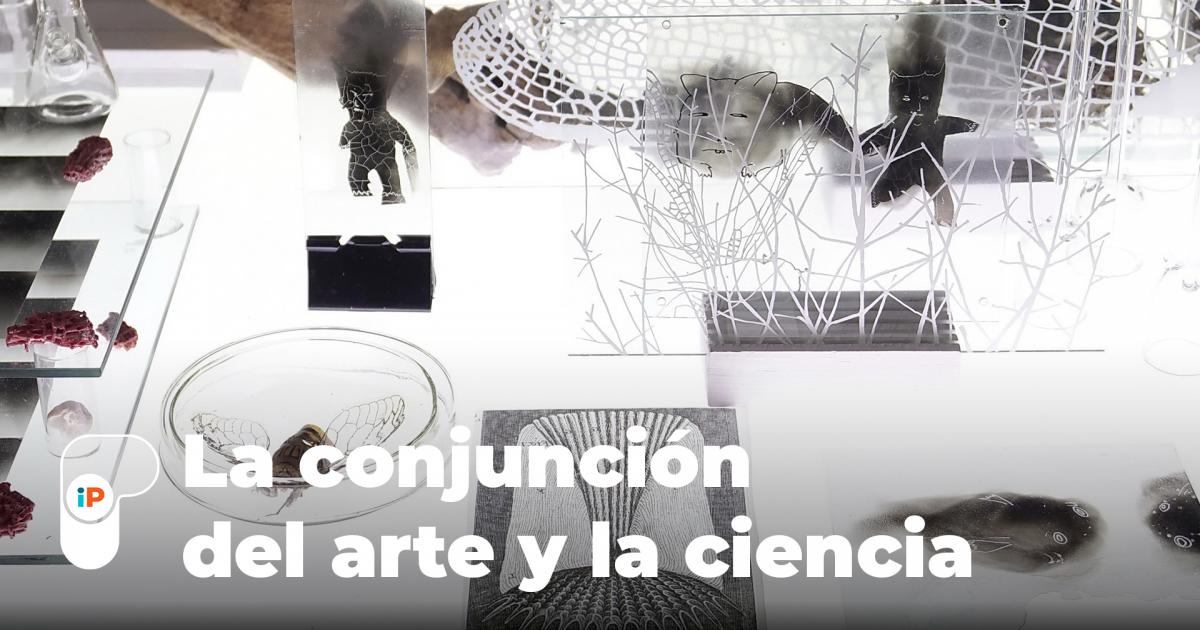 El biólogo y artista visual Pablo La Padula: "La ciencia es una ...